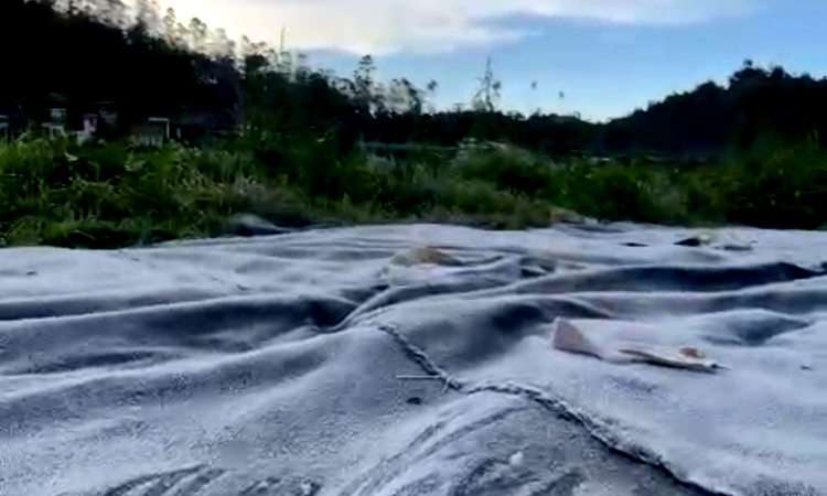 Embun Es Kembali Muncul di Kawasan Dieng Banjarnegara, Suhu Minus 1,3 ...