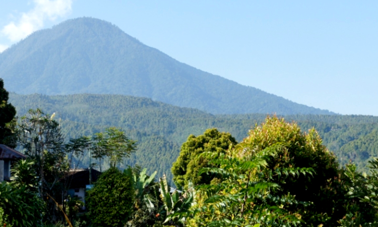 Gunung Wilis: Pesona Gunung yang Memikat Para Pendaki dan Pencinta Alam ...
