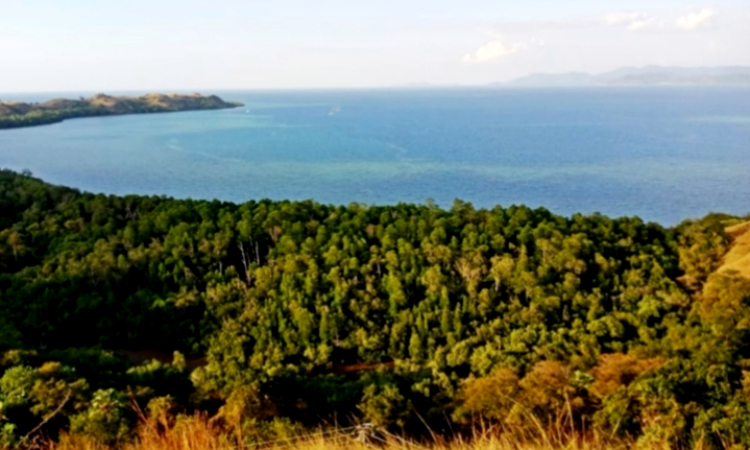 Danau Ranu Grati: Destinasi Wisata Alam yang Menyegarkan di Pasuruan ...