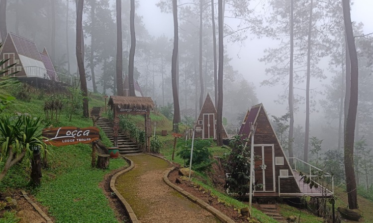 Liburan Tahun Baru di Locca Lodge Trawas: Gabungan Pesona Alam dan ...