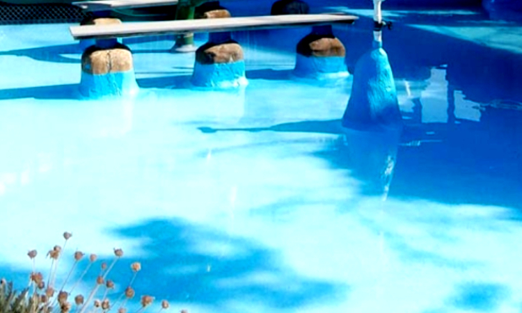 Kolam Segaran, Kolam Peninggalan Majapahit yang Menyimpan Sejarah di ...