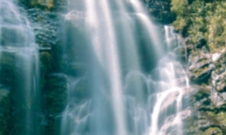 Air Terjun Tirtosari, Keindahan Air Terjun Bertingkat di Tengah Hutan ...