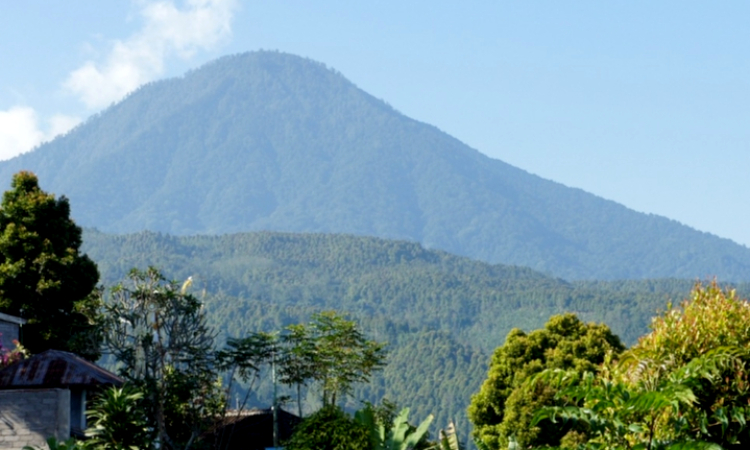 Pesona Keindahan Cemoro Sewu: Surga di Lereng Gunung Lawu - SUARA INDONESIA