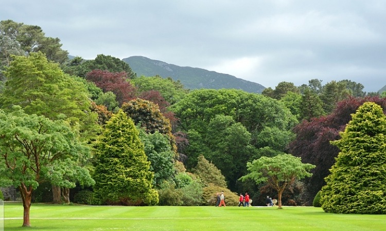 Taman Flora Surabaya: Destinasi Wisata Keluarga dengan Keindahan Flora ...