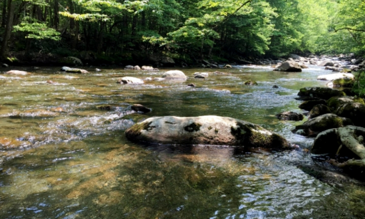Batu Paraga Salopa: Menikmati Keasrian Alam dan Seni Formasi Batu yang ...