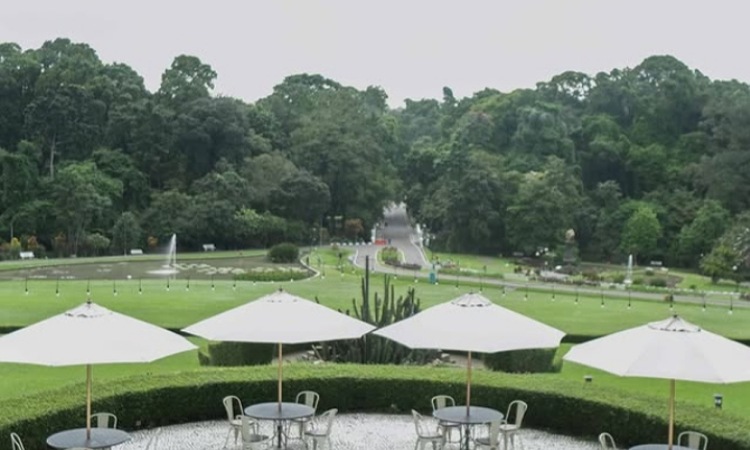 Menyingkap Keindahan Kebun Raya Bogor: Surga Hijau Edukasi di Pusat ...