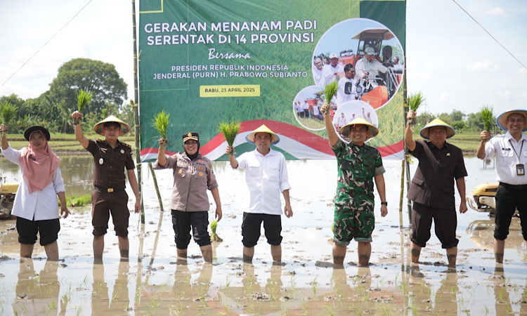 DKP2P Tuban Komitmen Dukung Ketahanan Pangan melalui Tanam Padi Serentak - SUARA INDONESIA
