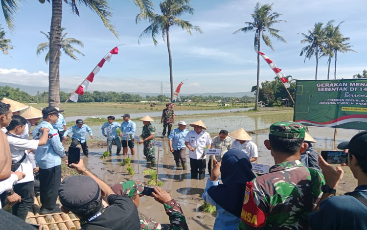 Pemkab Bondowoso Ikut Gerakan Serentak Tanam Padi, Targetkan Swasembada Pangan - SUARA INDONESIA