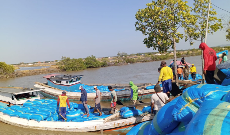 Harga Garam Anjlok, Kuli Angkut di Sampang Tak Merasa Merdeka di Hari ...