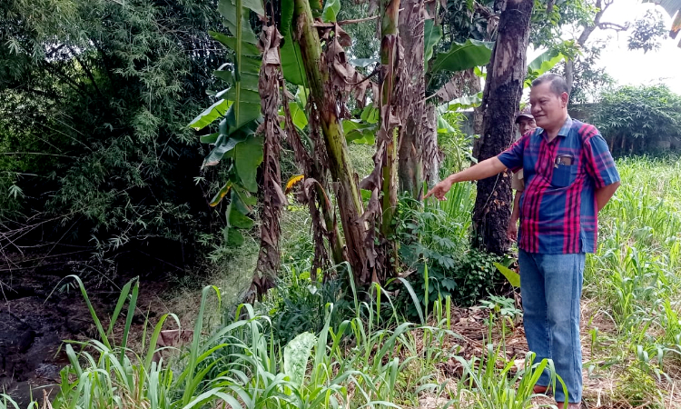 Erosi Sungai Krupak Di Desa Pagerbarang Tegal, Lahan Pertanian dan ...