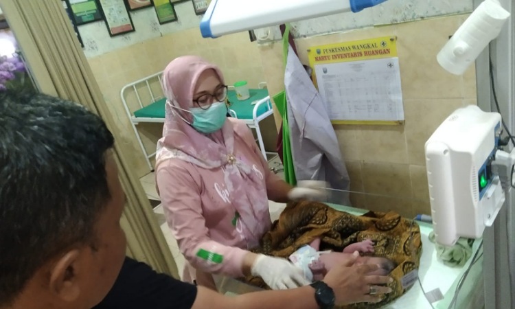 Bayi Mungil di Probolinggo Ditemukan di Tempat Sampah - SUARA INDONESIA