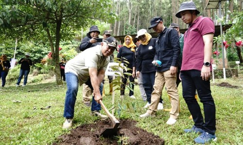 Peringati Hari Sejuta Pohon, Pemkab Malang Lakukan Penghijauan di ...